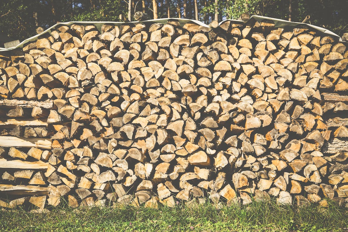 Seasoned Logs for Wood Burners | Consume Advisory